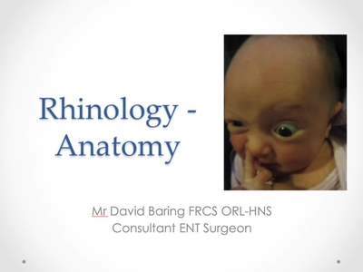 Rhinology - Anatomy presentation - Media Hopper Create