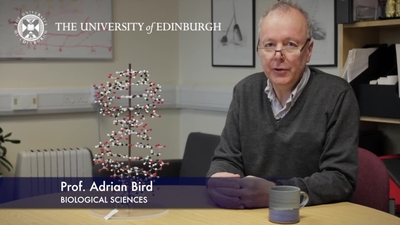 Adrian Bird - Biological Sciences- Research In A Nutshell - School of ...