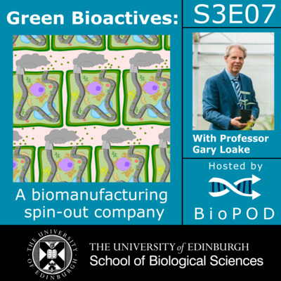 Green Bioactives: A biomanufacturing spin-out company with Professor ...