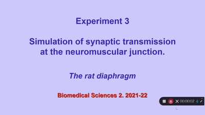 BMS2 2021-22 Practical 3 Introduction to the Rat Diaphragm Simulation ...