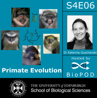 Primate Evolution with Dr Katerina Guschanski - Media Hopper Create