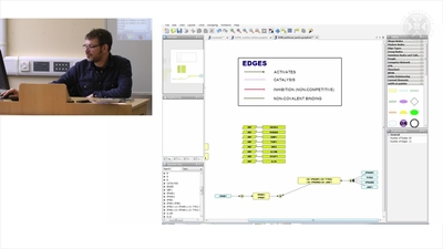 11. Practical Session: IFNB Pathway Description & Diagram - Media Hopper Create