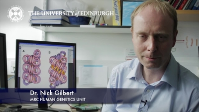 Nick Gilbert -MRC Human Genetics Unit-Research In A Nutshell- MRC ...