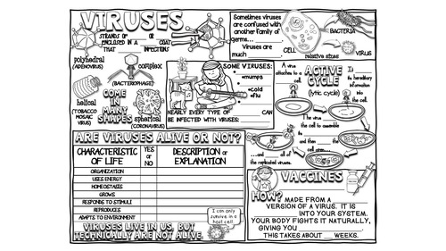 Viruses Doodle Notes, Quiz & PowerPoint | NGSS Life Science | Microbes ...