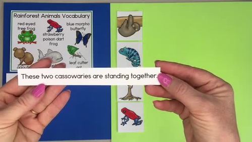 Rainforest Animals Sentence Picture Match Reading Center | TpT