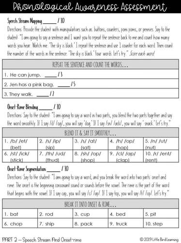 Diagnostic Reading Assessments Toolkit by Little Bird Learning | TpT