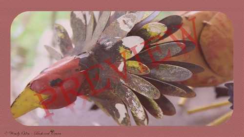 3-Digit by 1-Digit Multiplication SUPER Bundle by Book and Crown