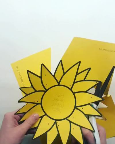 Sunflower Life Cycle Craft | Science | Kindergarten | Autumn | Fall ...