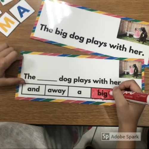 Sight Word Sentences - Find the Correct Word - Beginning to Read