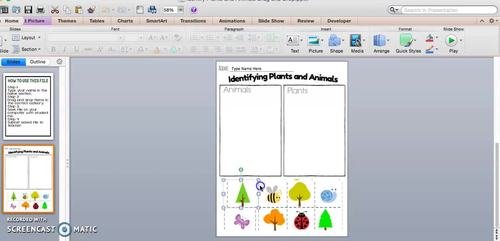 Distance Learning Comparing Plants and Animals in Kindergarten Drag ...