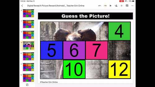Digital Reveal A Picture (Animals) Reward | Mystery Pictures | Google ...