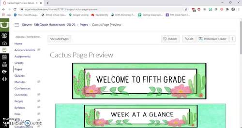 Cactus Design Bundle for Online Learning Platforms (Canvas, Google Sites)