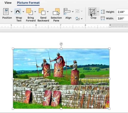 Formatting a Flyer / Handout in Microsoft Word Lesson by Miss B's Shop