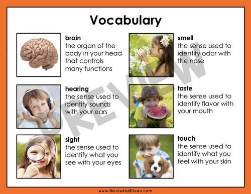 Human Body Reading Comprehension for Google Classroom by Nicole and Eliceo