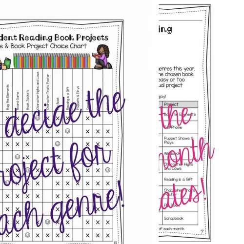 11 Book Projects & Book Reports BUNDLE, Genre Posters & Story Elements ...