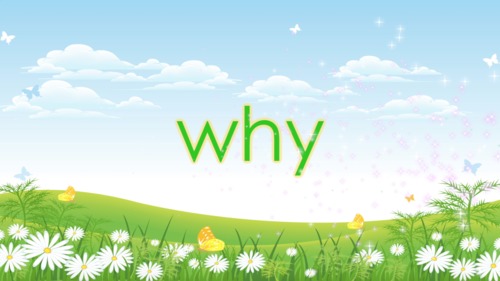 Sight word song...Let's learn how to read and spell the word "why"