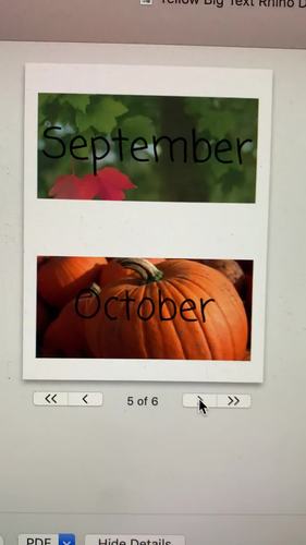 Reggio Inspired Months of the Year by Reggio Inspired Classroom | TPT