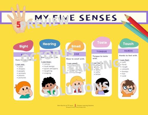 MY FIVE SENSES | Posters, Activity Cards, Sorting Mat & Sorting Cards