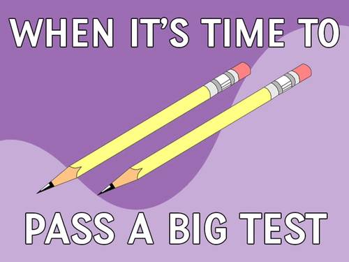 Testing Strategies Reading Song and Music Video by The Brighter Rewriter