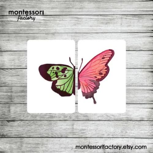 BUTTERFLIES SYMMETRY | Montessori - Flash - 3 Parts Cards | Educational ...