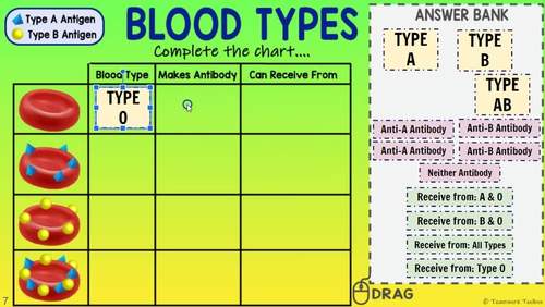 13 Topic ANATOMY BUNDLE ~Interactive Digital Resources for Google ...