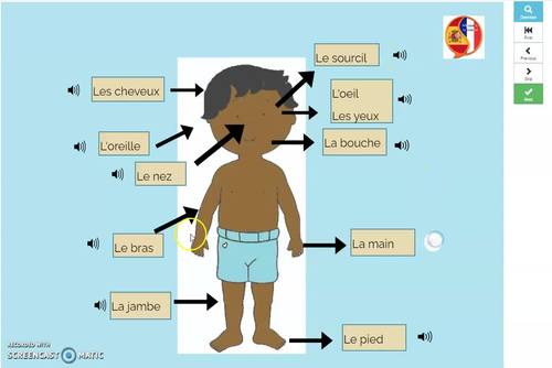 Les parties du corps - Boom Cards by Mi casa is ta maison | TPT