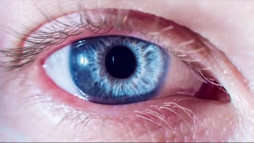 Light Energy and Parts of the Eye Science Activity | Distance Learning