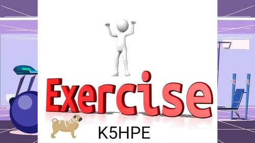 Physical therapy videos under $5 | TPT