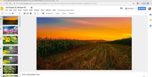 EL Education Grade 2 Module #3: The Secret World of Pollination | TPT