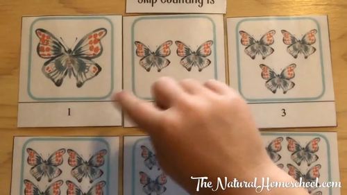 Montessori-Inspired Math Skip Counting 3-Part Cards {4s, 5s and 6s}