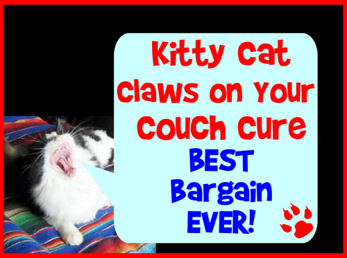 Cat Clawing Sofa Cure Quick Solution 2-Minute Fun ViDEO | TPT