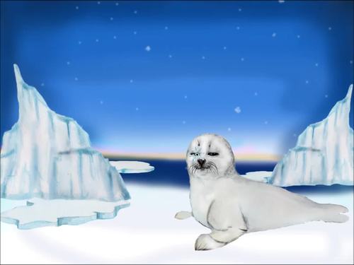 Penguin clipart, seal clipart, winter watercolor clipart, cut animals ...