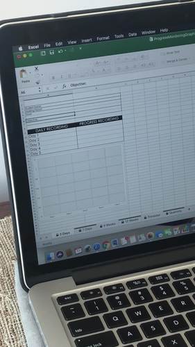 IEP Progress Monitoring Charting & Graphing in Excel (Bundle) | TpT