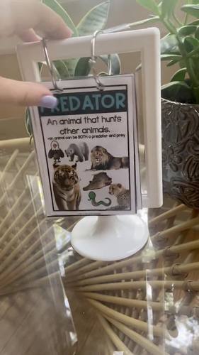 Food Chain and Food Web Mini-Anchor Charts for IKEA Tolsby Frames