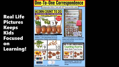 ONE TO ONE CORRESPONDENCE 1 -20 Counting ACORNS Task Cards “Task Box ...