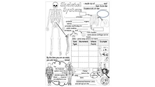 Skeletal System Doodle Notes & Quiz | Human Body Systems NGSS Life Science