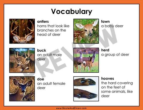 Deer Reading Comprehension for Google Classroom by Nicole and Eliceo