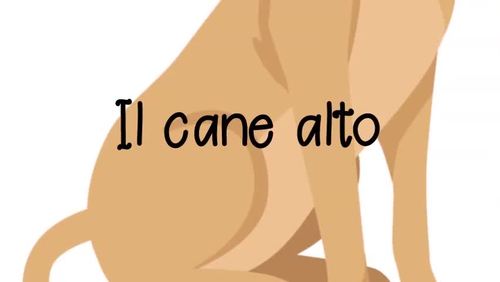 Il cane alto Italian short story Comprehensible Input lesson Plans ...