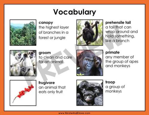 Spider Monkey Reading Comprehension for Google Classroom - Distance ...