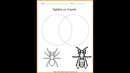 Printable Bugs: Units on Butterflies, Bees, Ants, and Spiders by ...
