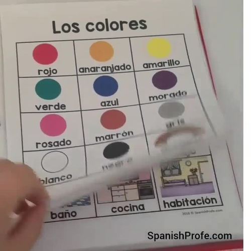 Picture Dictionary in Spanish (Diccionario ilustrado por temas) | TpT