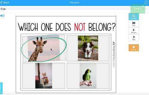 Which One Doesn't Belong-BOOM CARDS™ | Speech Therapy by The ...