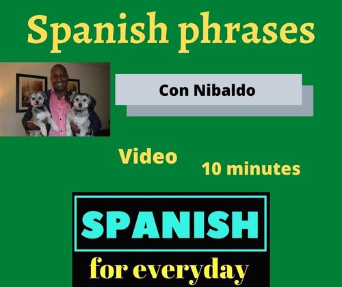 Spanish phrases with Nibaldo/ Frases en español con Nibaldo | TPT