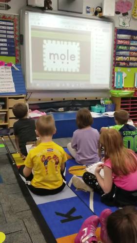 Short and Long Vowel - Interactive Find It Activities (Growing Bundle)