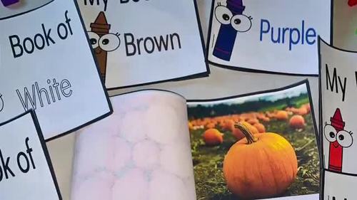 Learning Colors Mini Books and Hands On Activities by Homeschooling Littles