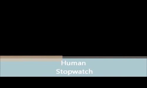 P.E. Warm-Up, "The Human Stopwatch" by MatulisPE | TpT
