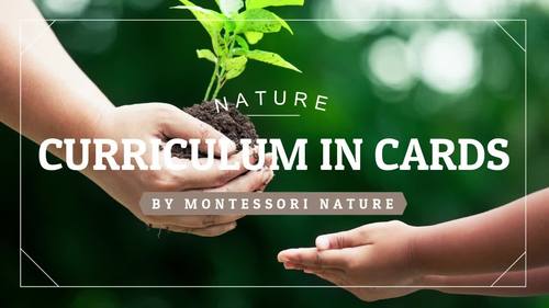 Colors in Nature | Nature Curriculum in Cards | Montessori by ...