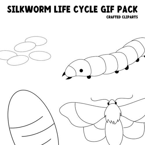 Simple Silkworm Life Cycle GIF Pack by Crafted Cliparts | TPT
