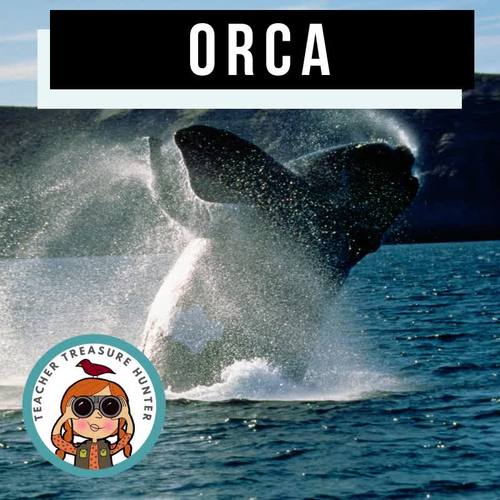 Arctic Ocean Animals Report ORCA informational article first grade ...