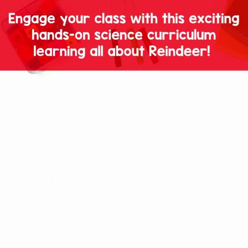 All About Reindeer Unit: Worksheets, Crafts, & Activities | Christmas ...